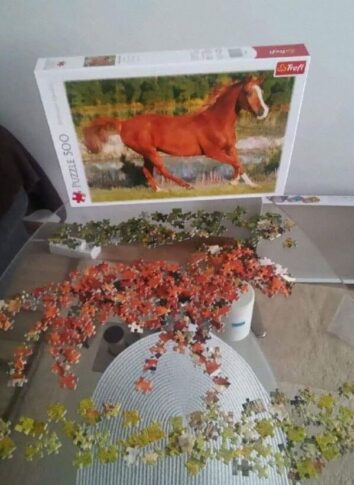 45 Funny Times 'Task Failed Successfully' Turned Epic Fails Into Wins