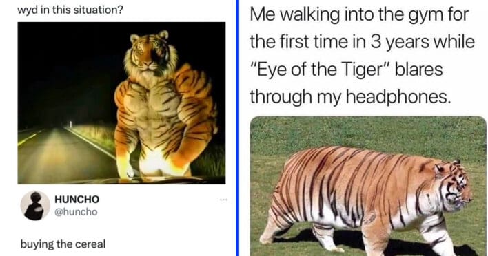 20+ Funny Eye Of The Tiger Memes To Get You Up All Those Stairs