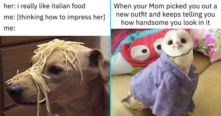 45+ Animal Memes That Had Us Grinning Ear To Ear This Week (March 15, 2024)