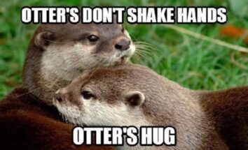 35 Hilariously Adorable Otter Memes To Brighten Your Day (March 14, 2024)