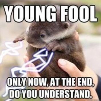 35 Hilariously Adorable Otter Memes To Brighten Your Day (March 14, 2024)