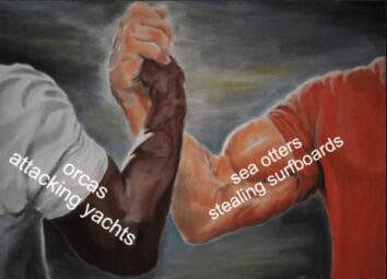 35 Hilariously Adorable Otter Memes To Brighten Your Day (March 14, 2024)