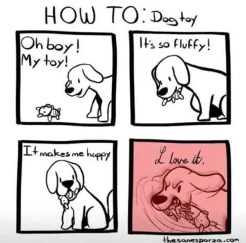 45 Best Funny Dog Memes To Make This Week Infinitely Better (March 4, 2024)