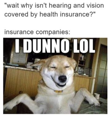 45 Best Funny Dog Memes To Make This Week Infinitely Better (March 4, 2024)