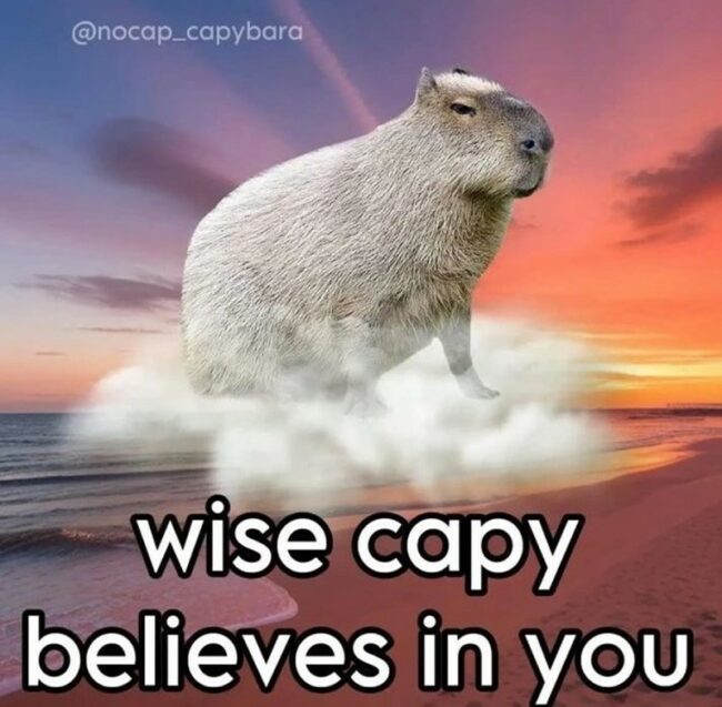 45 Capybara Memes Celebrating Quite Possibly The Chillest Animal Of All ... 45 Capybara Memes Celebrating Quite Possibly The Chillest Animal Of All ...