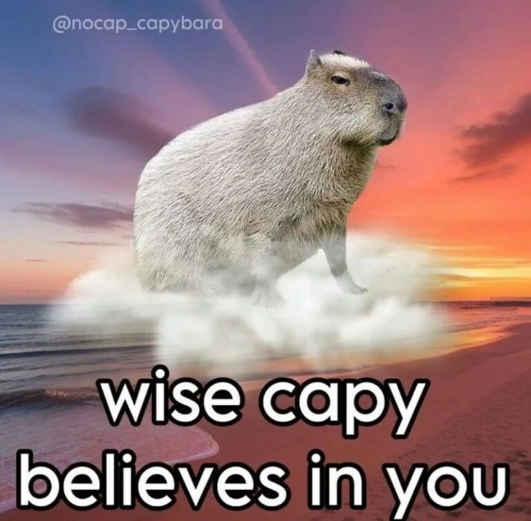 45 Capybara Memes Celebrating Quite Possibly The Chillest Animal Of All ...