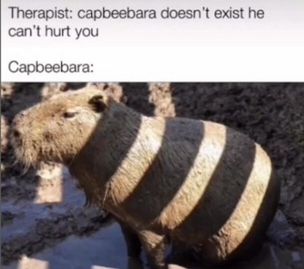 45 Capybara Memes Celebrating Quite Possibly The Chillest Animal Of All ...