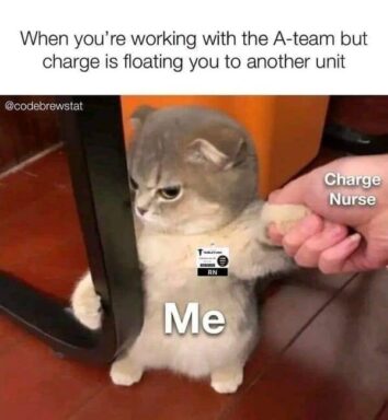 45+ Funny Nurse Memes To Keep You Laughing Through The Night Shift ...