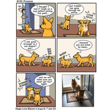 40 Comics That Nail The Funny Side Of Being A Dog Owner