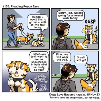 40 Funny Comics That Nail The Humorous Side Off Being A Dog Owner