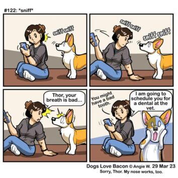 40 Funny Comics That Nail The Humorous Side Off Being A Dog Owner