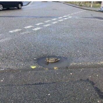 50 Cursed Photographs That Will Make You Look Twice, All From This ...