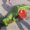 50 Cursed Photographs That Will Make You Look Twice, All From This ...