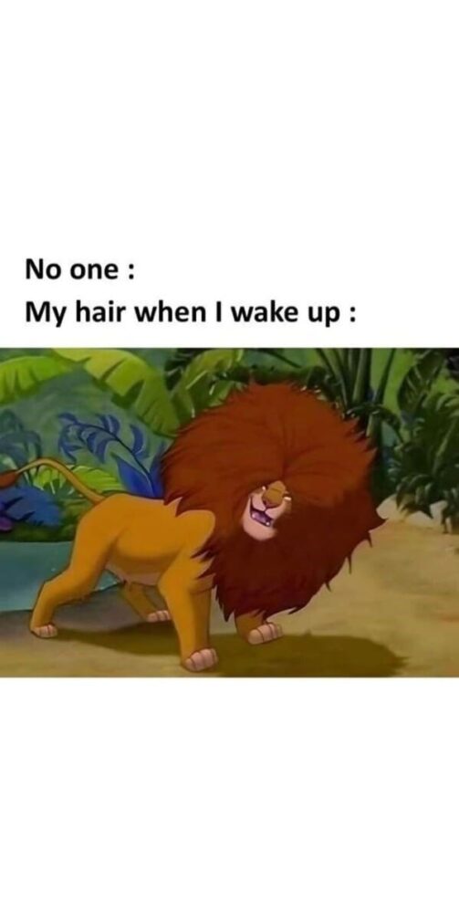 45 Hilarious Disney Memes To Blast You Back To Your Childhood This Week ...