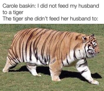 20+ Funny Eye Of The Tiger Memes To Get You Up All Those Stairs