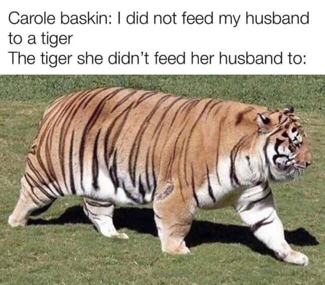 20+ Funny Eye Of The Tiger Memes To Get You Up All Those Stairs