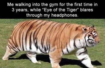 20+ Funny Eye Of The Tiger Memes To Get You Up All Those Stairs
