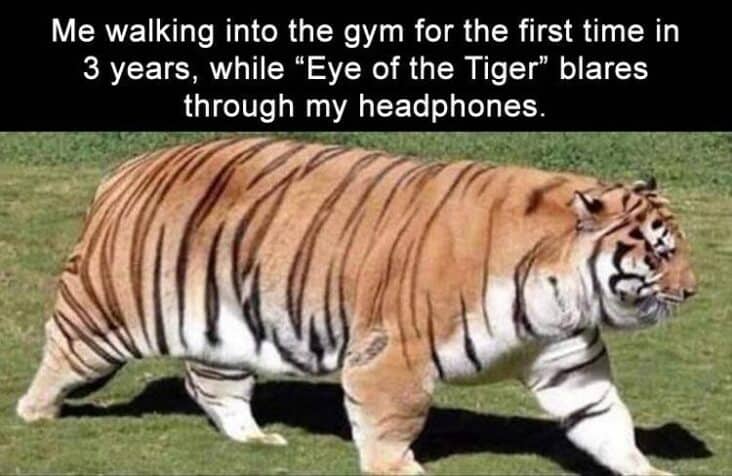 20+ Funny Eye Of The Tiger Memes To Get You Up All Those Stairs