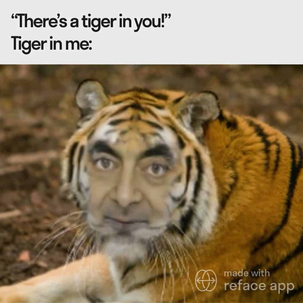 20+ Funny Eye Of The Tiger Memes To Get You Up All Those Stairs