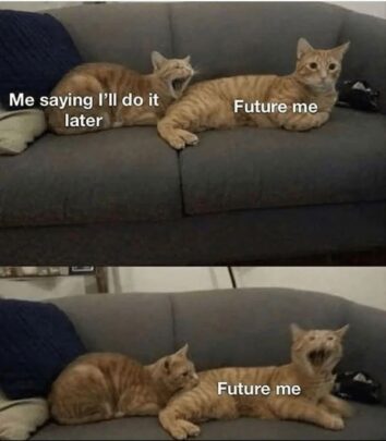 50 Top Cat Memes Of The Month Guaranteed To Make You Purr With Laughter ...