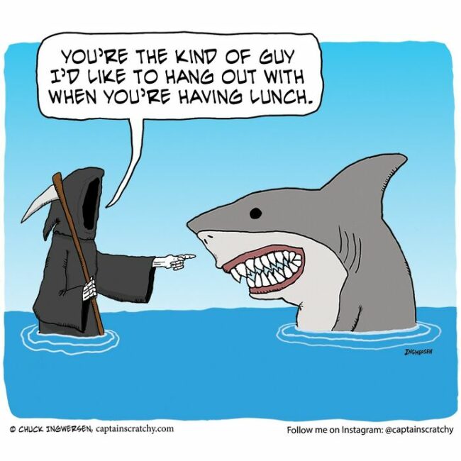 50 Funny Animal Comics From The Talented Captain Scratchy