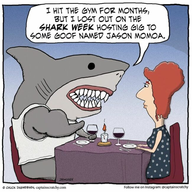 50 Funny Animal Comics From The Talented Captain Scratchy