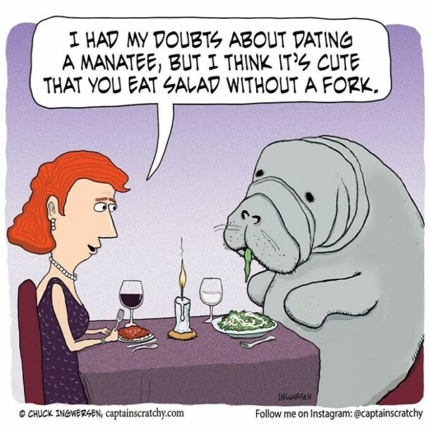 50 Funny Animal Comics From The Talented Captain Scratchy