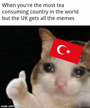 50 Smashing British Memes Showcasing The Tip-Top Of British Humor ...