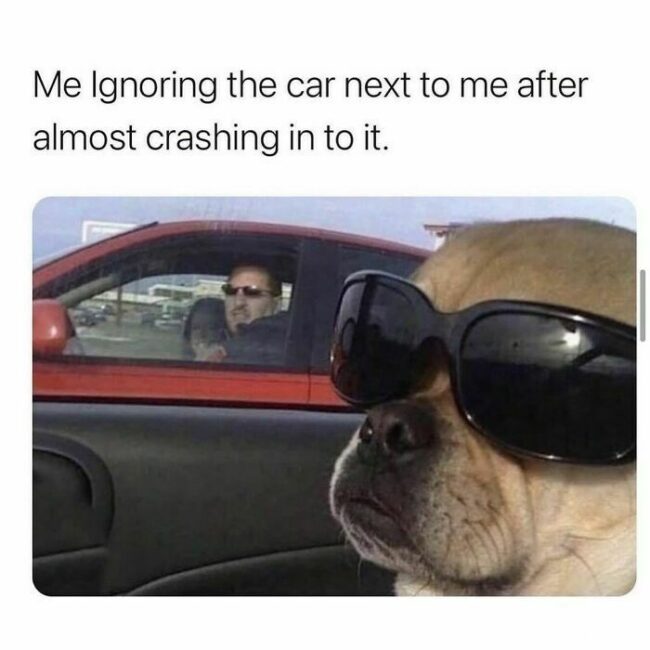40 Relatable Car Memes For Casual Drivers To Hardcore Commuters