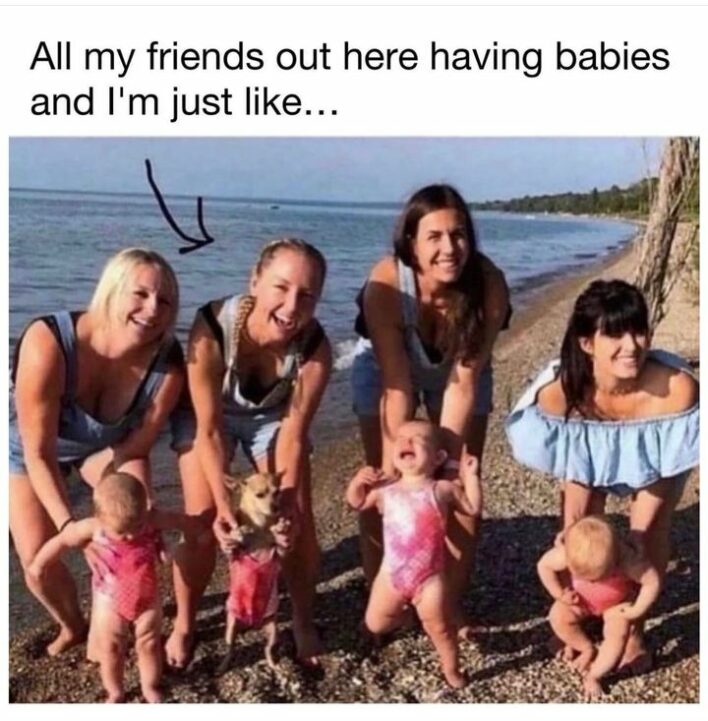 30 Funny Childfree Memes To Go With All Of That Disposable Income ...