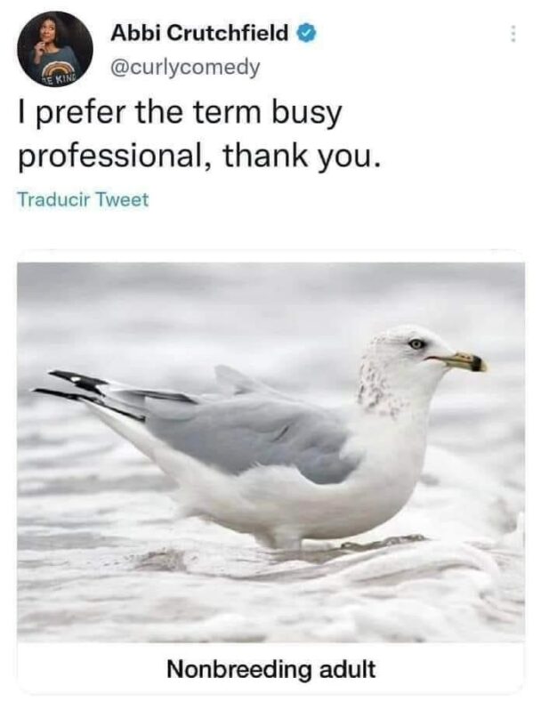 35 Outrageous Memes That Are All Confidence, And Sometimes That's Enough