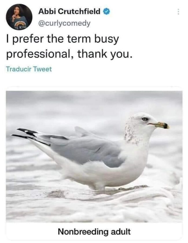 35 Outrageous Memes That Are All Confidence, And Sometimes That's Enough