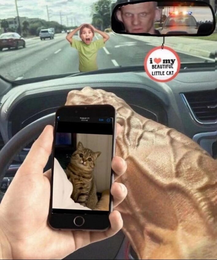 35 Outrageous Memes That Are All Confidence, And Sometimes That's Enough