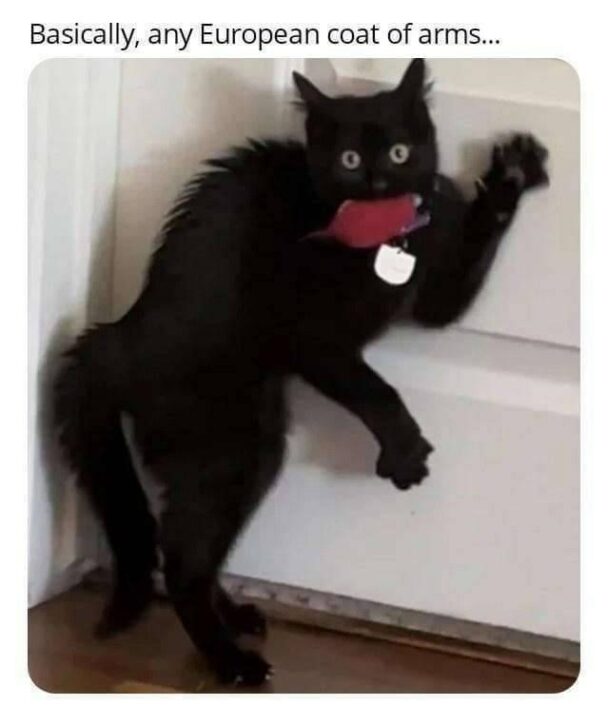 35 Outrageous Memes That Are All Confidence, And Sometimes That's Enough