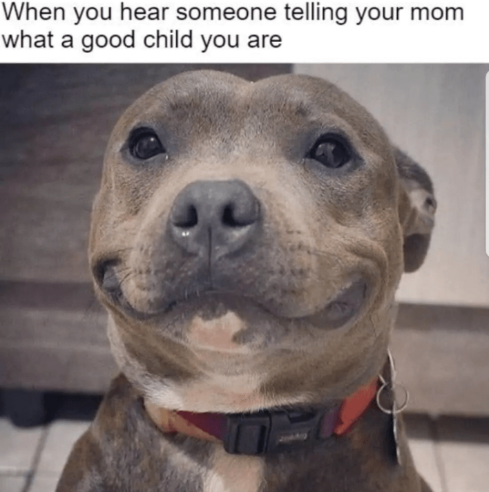 50 Funny Family Memes To Drop In The Fam Chat Without Context (March 4 ...