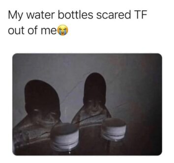 30+ Hilarious Hydration Memes To Celebrate Your Emotional Support Water ...
