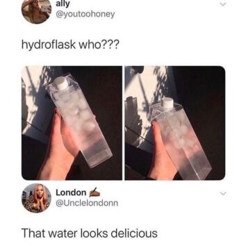 30+ Hilarious Hydration Memes To Celebrate Your Emotional Support Water ...