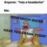 30+ Hilarious Hydration Memes To Celebrate Your Emotional Support Water ...