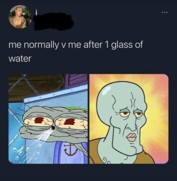 30+ Hilarious Hydration Memes To Celebrate Your Emotional Support Water ...