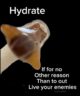 30+ Hilarious Hydration Memes To Celebrate Your Emotional Support Water ...