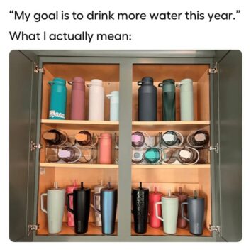 30+ Hilarious Hydration Memes To Celebrate Your Emotional Support Water ...