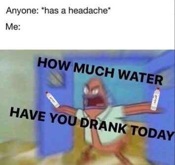 30+ Hilarious Hydration Memes To Celebrate Your Emotional Support Water ...