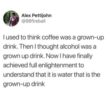 30+ Hilarious Hydration Memes To Celebrate Your Emotional Support Water ...