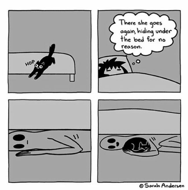 50 Funny Introvert Comics From Hilarious Artist Sarah Andersen