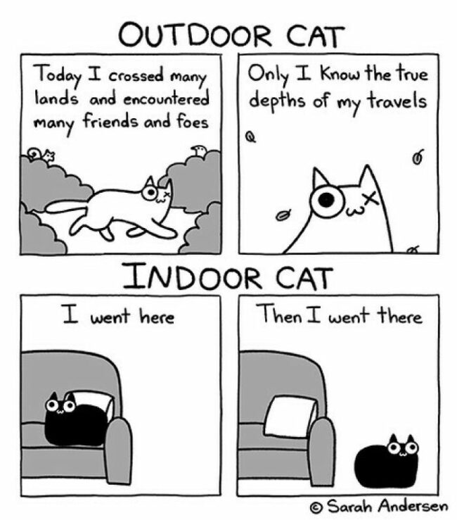 50 Funny Introvert Comics From Hilarious Artist Sarah Andersen