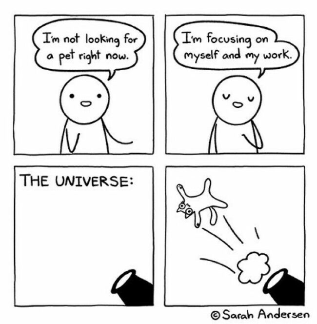 50 Funny Introvert Comics From Hilarious Artist Sarah Andersen