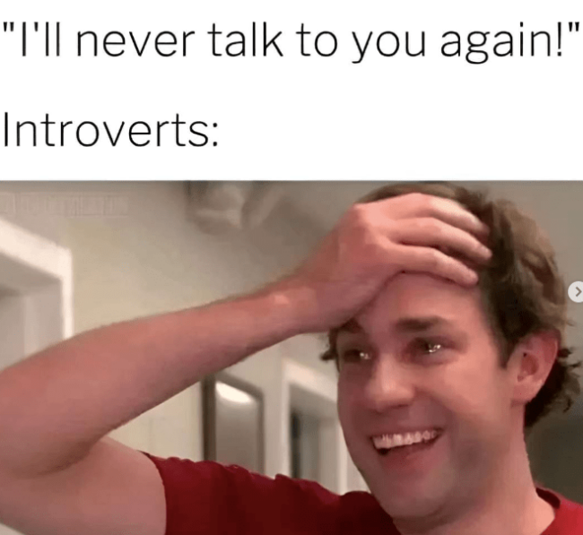 30 Introvert Memes That Reinforced Our Decision To Stay Inside This ...