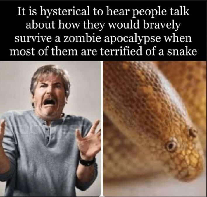 26 Funny Post-Apocalyptic Memes To Keep In Your Zombie Survival Kit