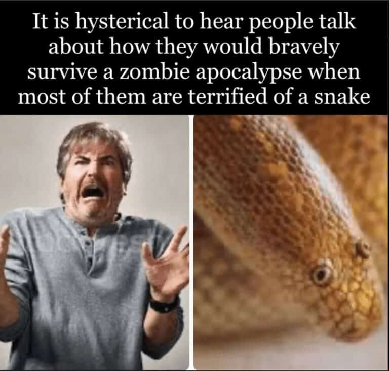 26 Funny Post-Apocalyptic Memes To Keep In Your Zombie Survival Kit