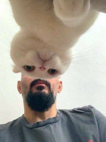 45 Funny And/Or Random Pictures For Your Afternoon Amusement (March 16 ...